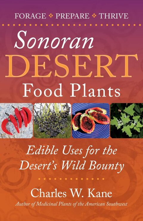 The Sonoran Desert | Explore Sonora